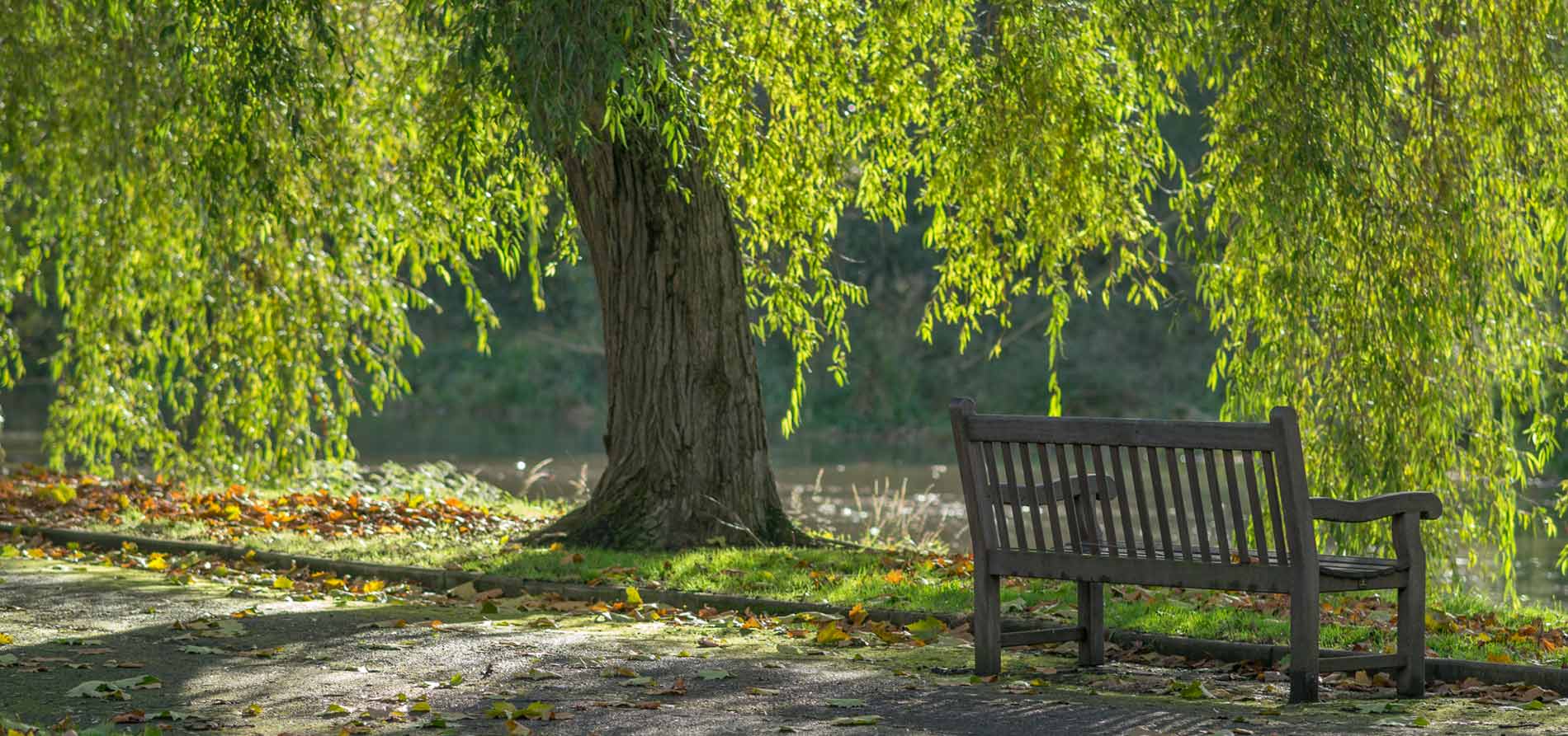 Estate Agents, Property & Block Managers in Oakwood, London N14 ...